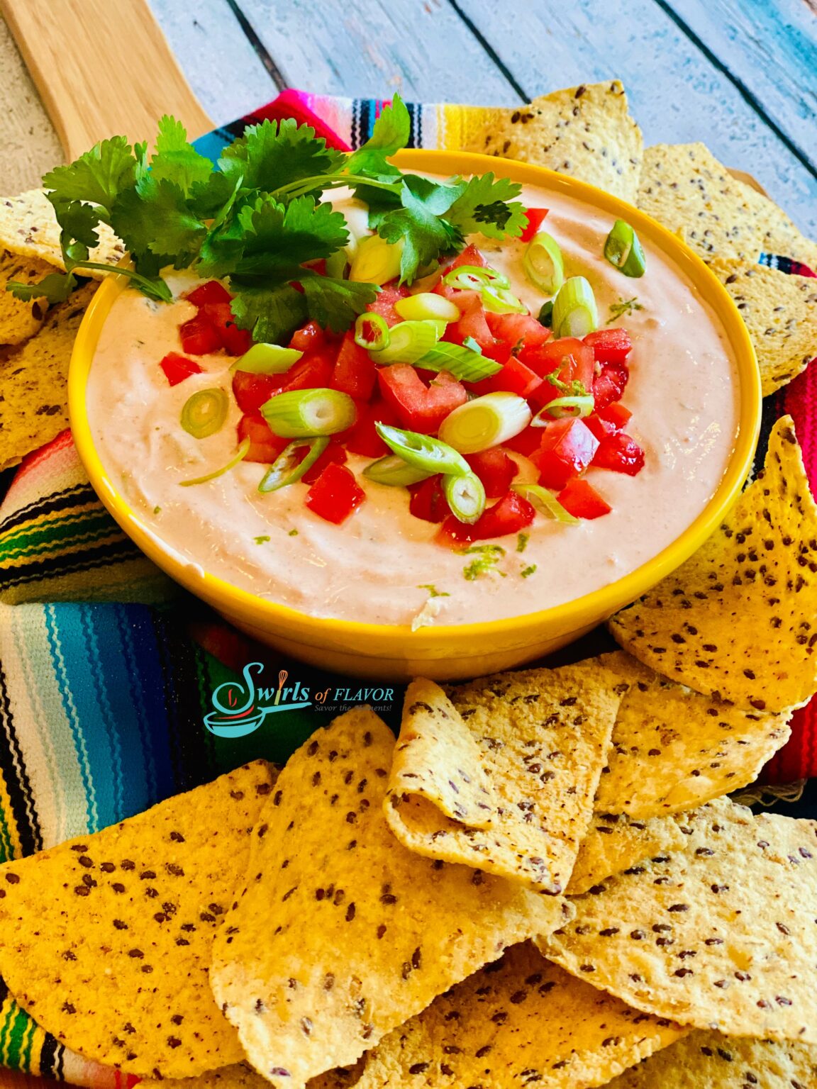 Salsa Dip Recipe - Swirls of Flavor